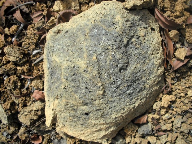 Zeolithe der Lebensmotor ? – La Palma NEWS