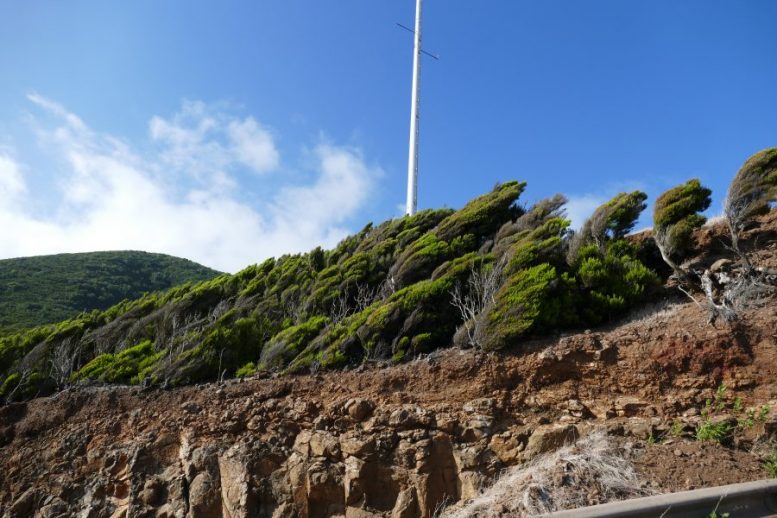 ADALID die nördlichste Spitze von La Palma – La Palma NEWS